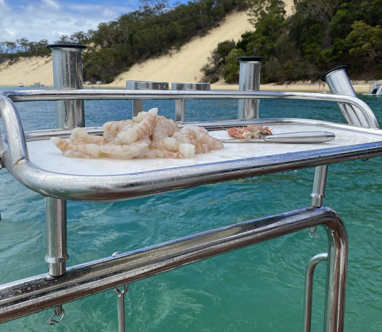 Australian made stainless Tubular Bait Board with rod holders ...